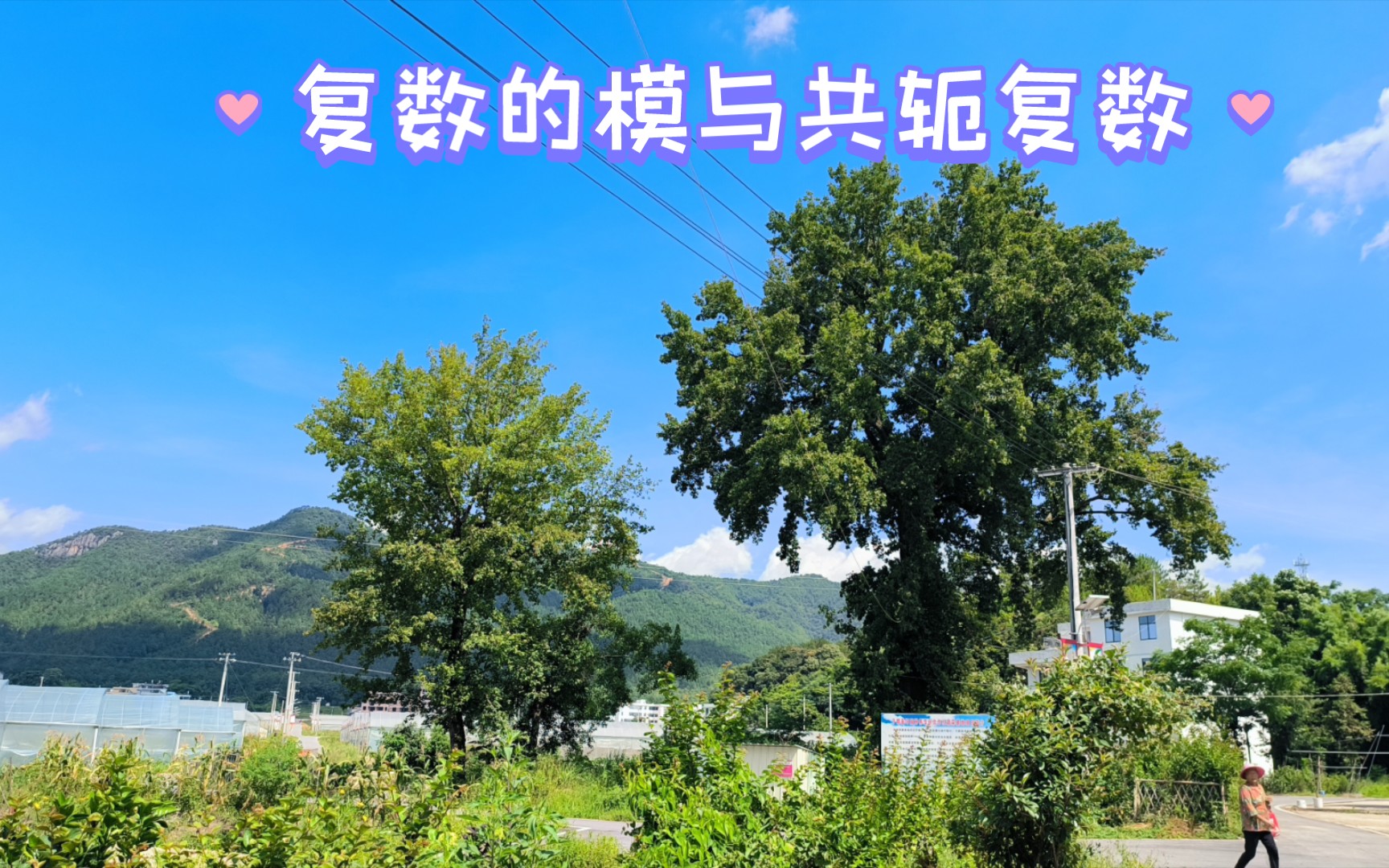 新高中数学9 复数——复数的模与共轭复数