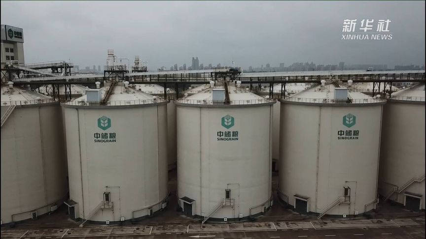 现代化粮储助力粮食安全 探访河南“大个子”储粮仓