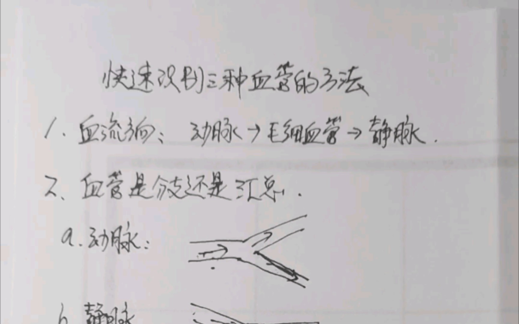 【生物中考专项复习】如何快速判断三种血管