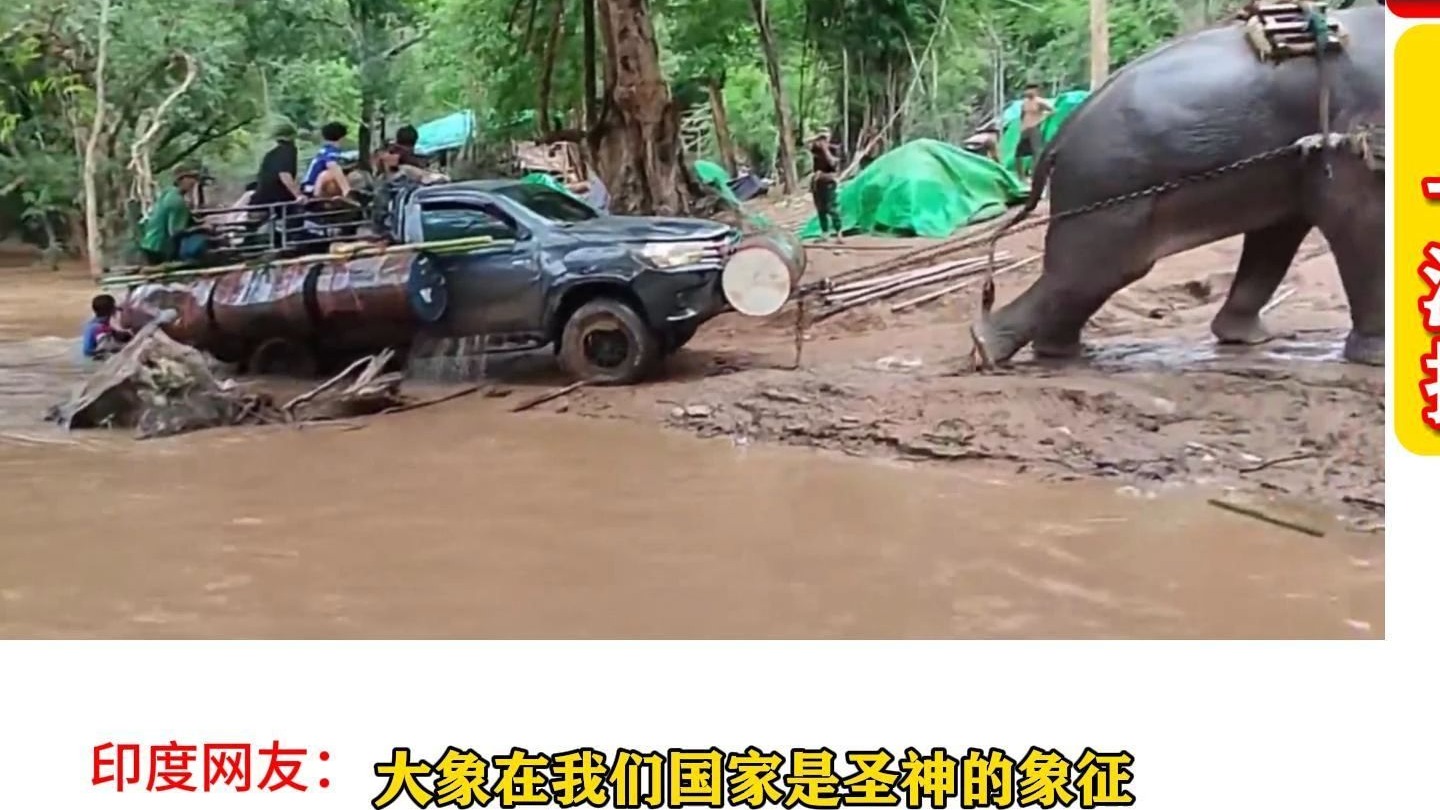 大象凭借一己之力在湍急的河水拉动一车人!网友:善待一切生命