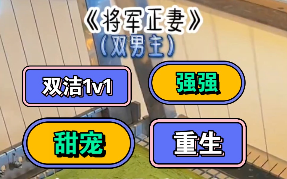 《将军正妻》【双男主+双强+甜宠+重生+双洁1V1】 (又疯又撩光风...