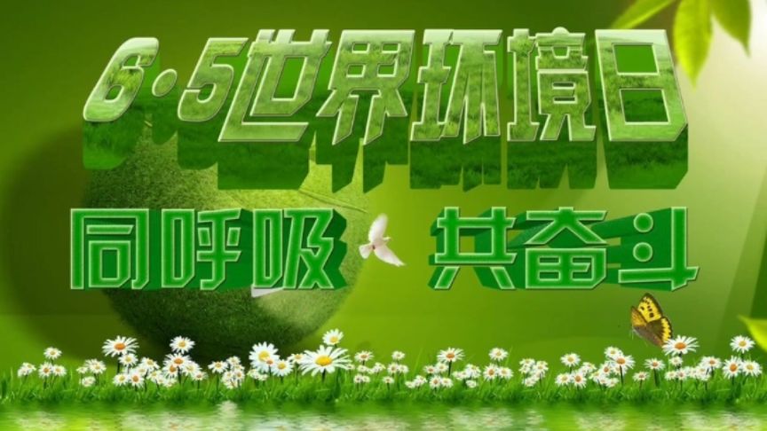 6.5世界环境日