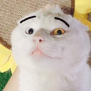 还原糖好甜 