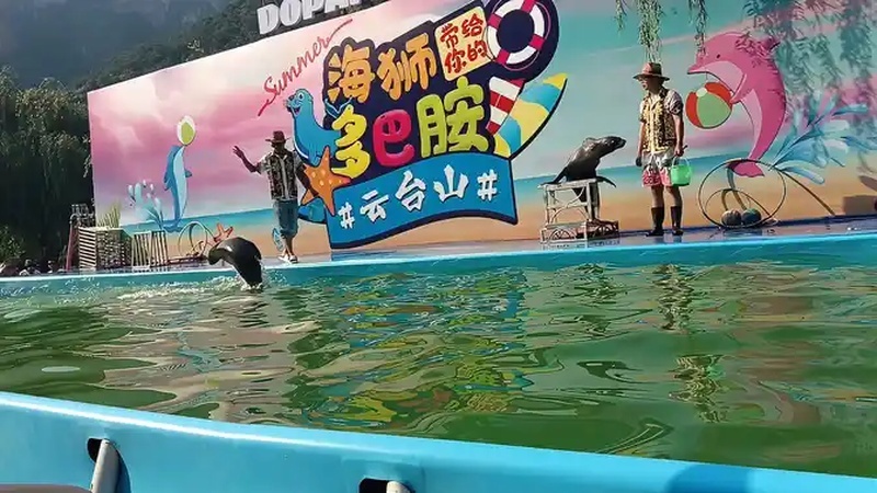 海狮表演让小观众尖叫不已