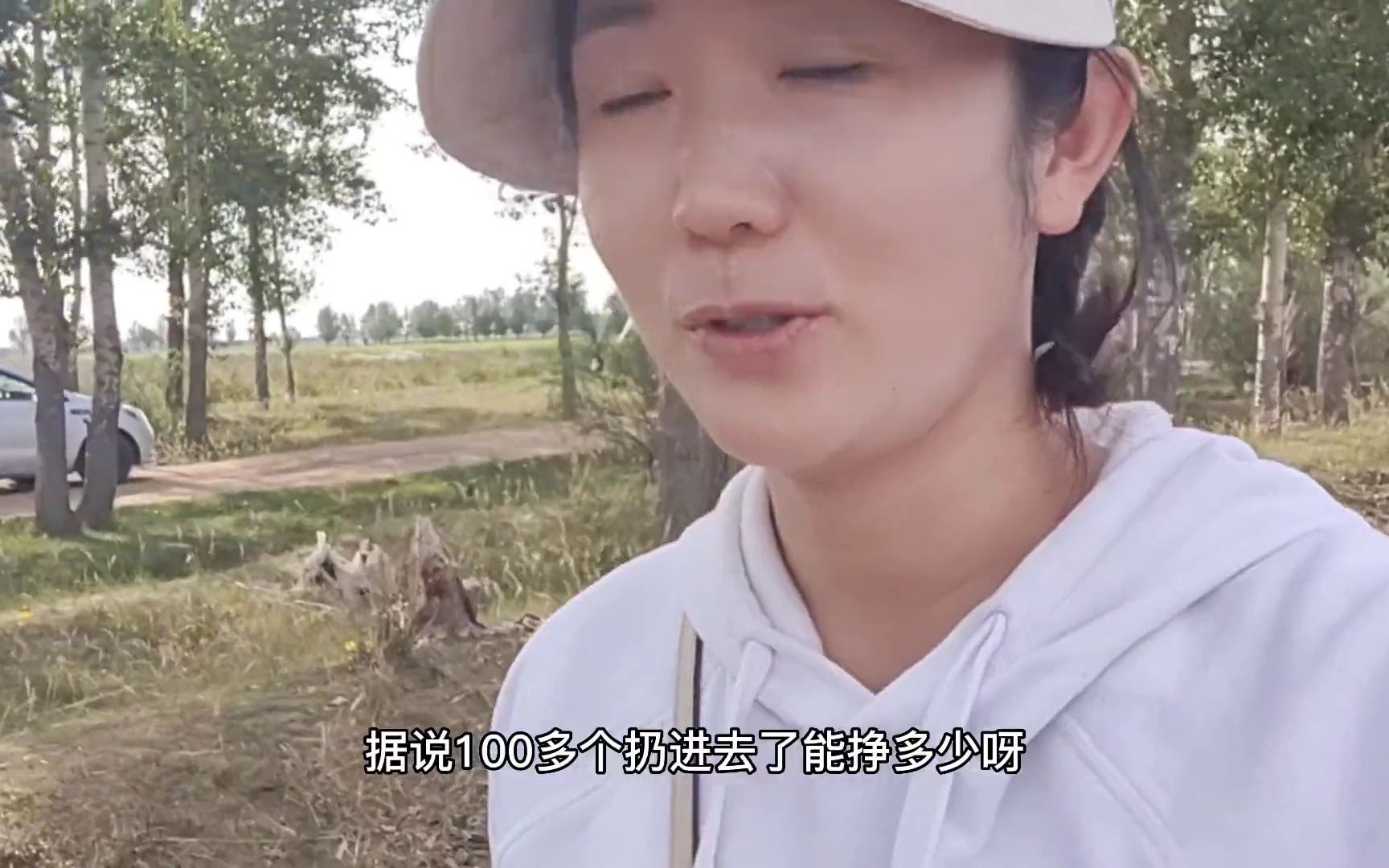 内蒙土豆火出圈,300亩土豆引来全国客商抢货,土豆大翻身!