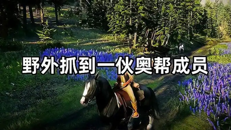 抓到一伙奥帮成员 荒野大镖客2