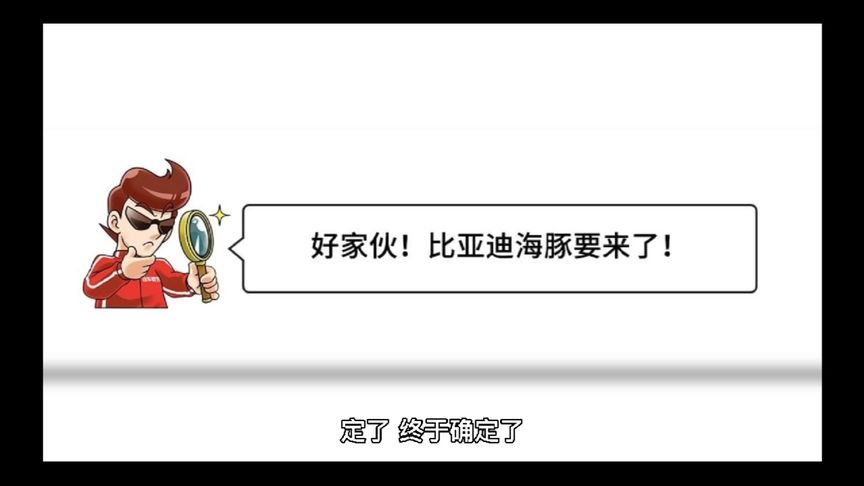 比亚迪海豚终于确定了,售价都是大家所期望的,就是续航有点失望