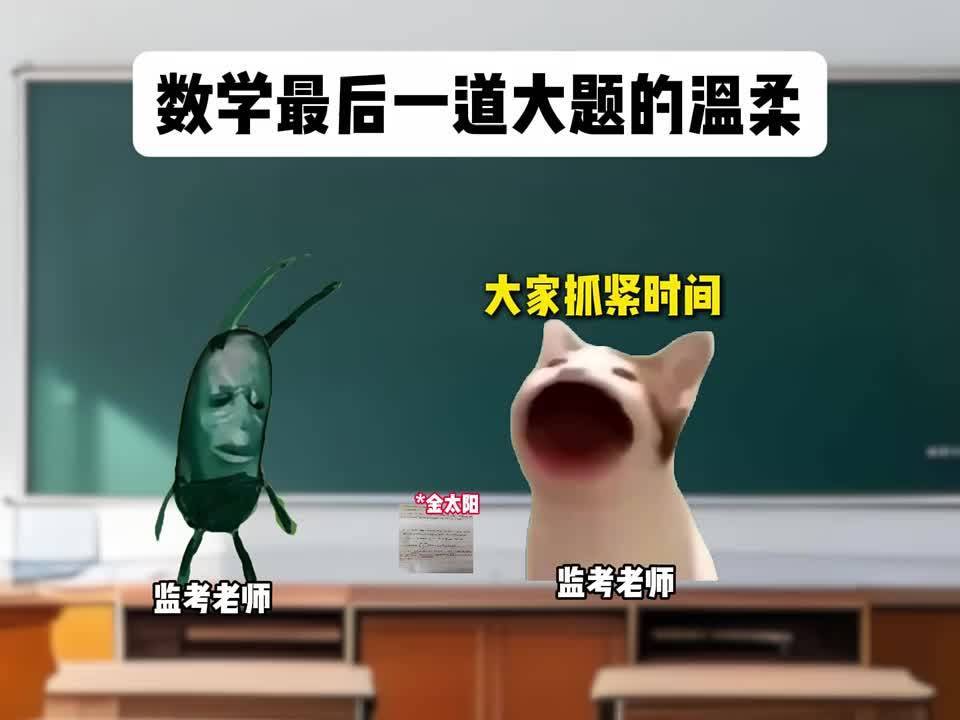 数学最后一道大题温柔