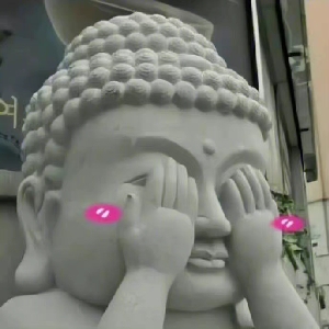 SAN生鱼更生 