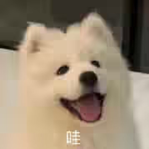 问云和玉兔解沉浮 