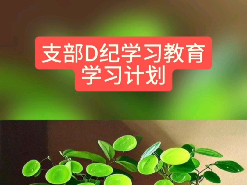 支部党纪学习教育学习计划