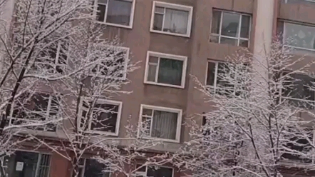 疫情期间吉林通化下雪