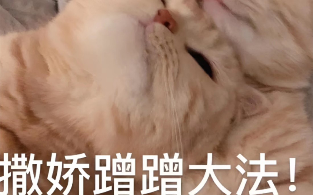 基于FPGA和MATLAB的UART通信演示视频