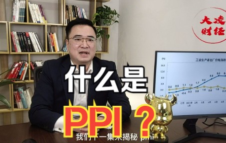 大凌开课了 第一季第三集 什么是PPI?