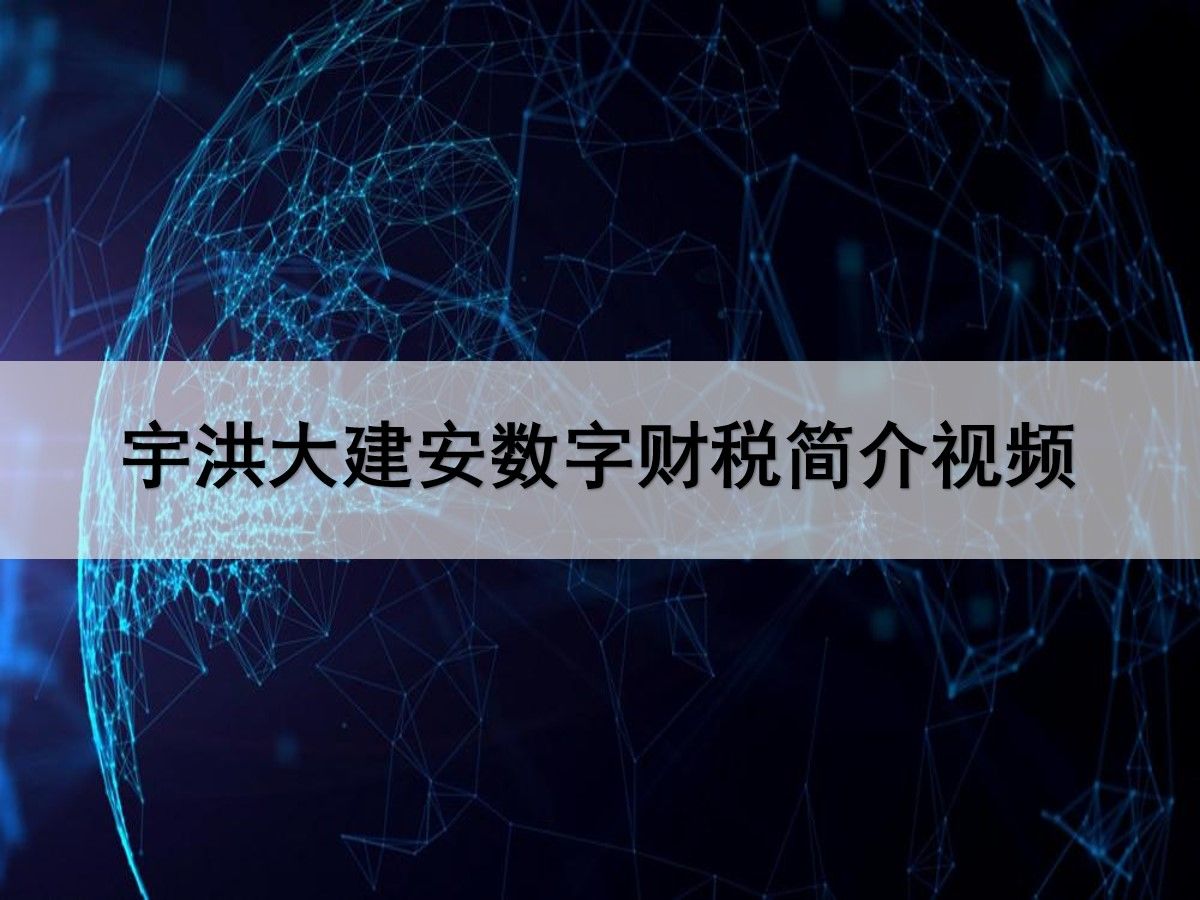 宇洪大建安数字财税简介视频