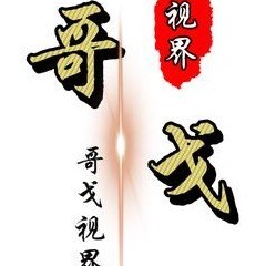 哥戈视界 