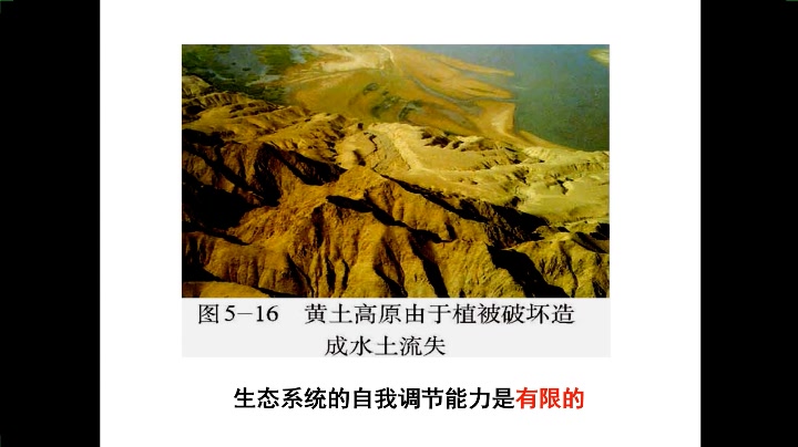 生态系统的稳定性