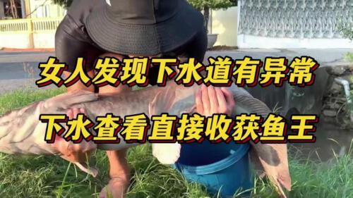 动物世界,妻子在河边发现了不明生物,丈夫下河捕捉查明原因!