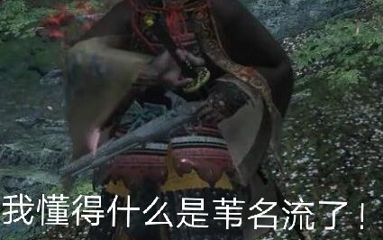 只狼自制mod 太刀足配剑替换与完美的武器修改