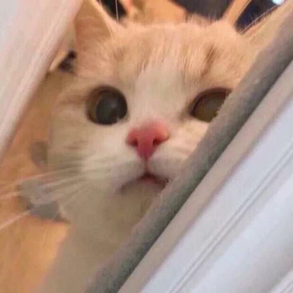离悠安 
