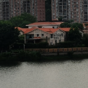 人民的康哥 