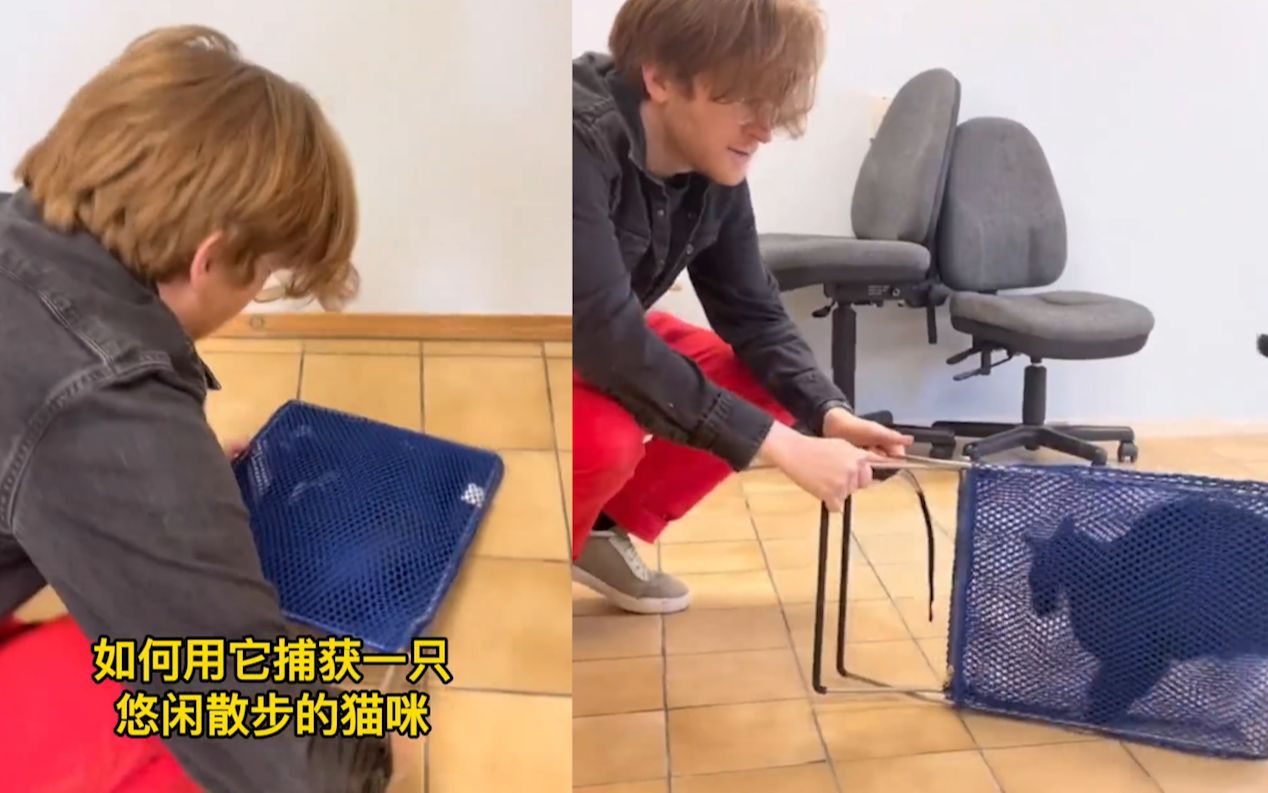 轻而易举!国外男子分享猫咪捕捉神器,猫咪被夹住秒变“猫饼”