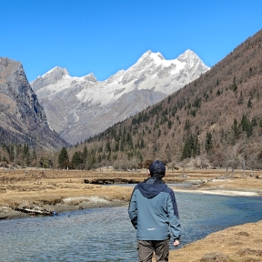宝玉贵珍藏年年粳稻香 