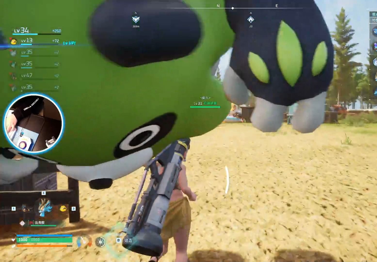 【幻兽帕鲁】如何交配 孵化巨大龙蛋!