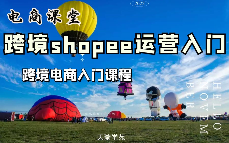 跨境电商shopee虾皮运营入门指南 跨境电商入门课程 东南亚方向跨境...