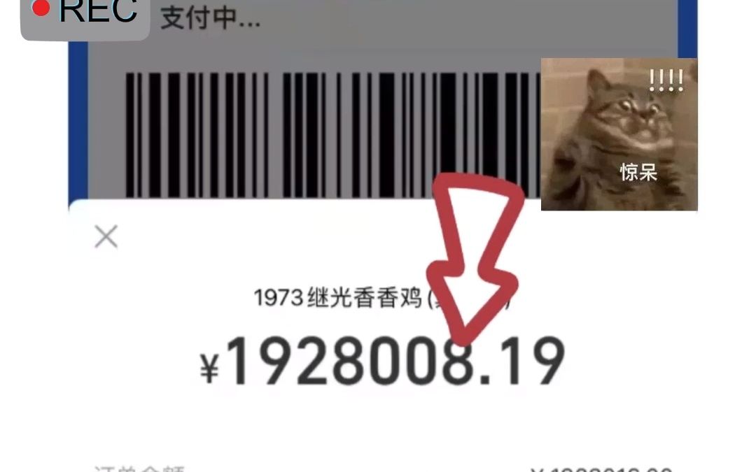 ...炸鸡,付款时一看金额竟是200万,“信用卡没那么大额度没支付出去”。