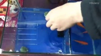 两用乌龟缸 过滤器安装视频