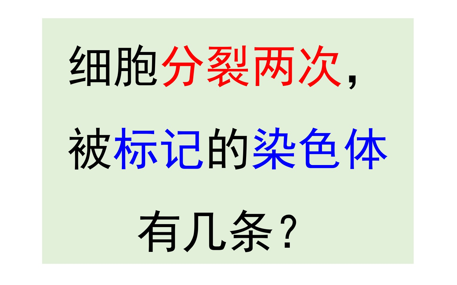 必修2第三章第3节:DNA复制(第2课时)(新教材新授课)三、DNA复制所...