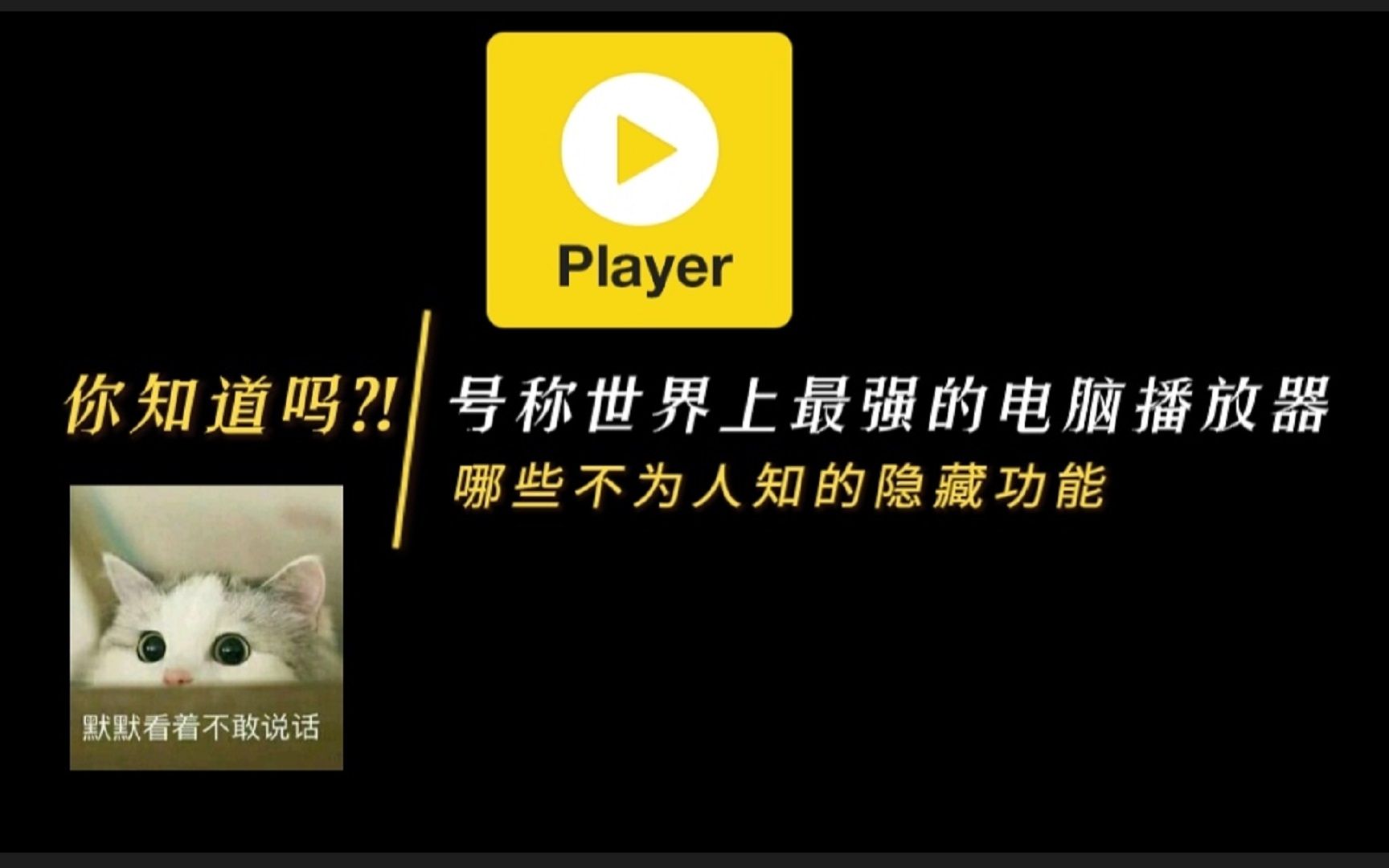 发现电脑端播放神器PotPlayer的隐藏功能,免费的就是香!