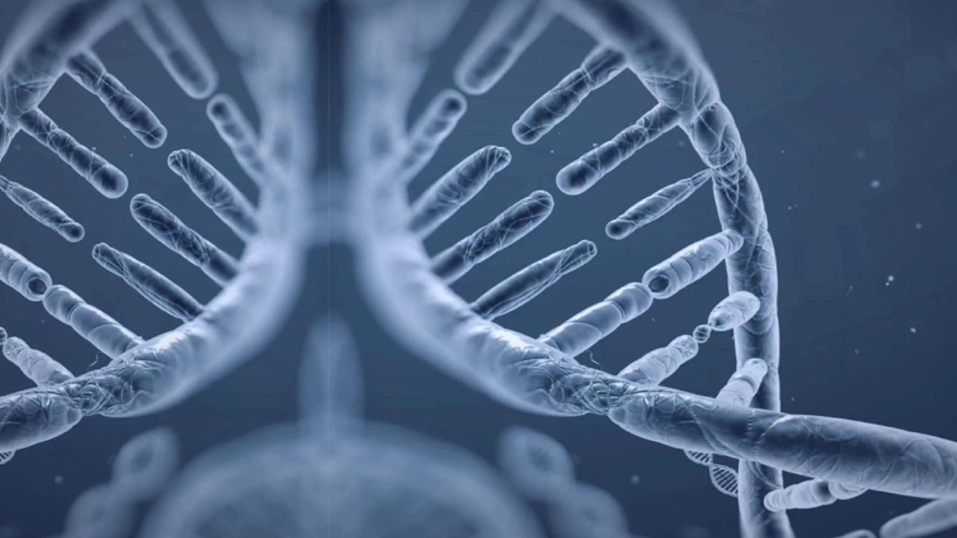 第四期:疾病发展的主要机制