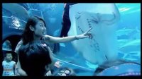 2011上海旅游宣传片 无锡春秋旅游 0510-85858932