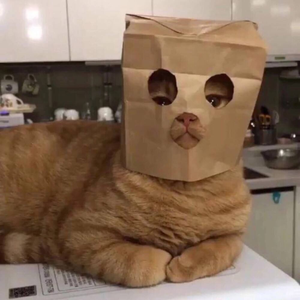直播运营技巧分享 