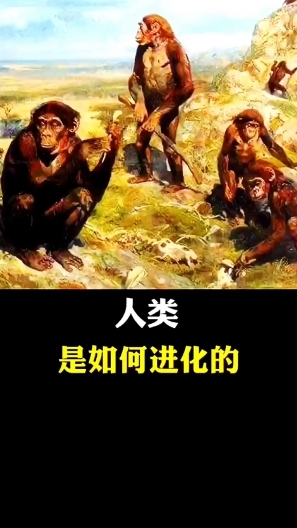 1分钟看懂人从哪里来,人类40亿年进化历程动画演示