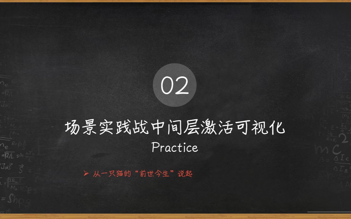《Python深度学习》读书笔记系列之ch5.4.1(part2)——场景实践战可视...