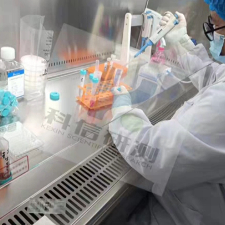 实验外包动物实验分子实验细胞实验病理实验等实验