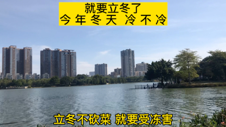就要立冬了,今年冬天,冷不冷?