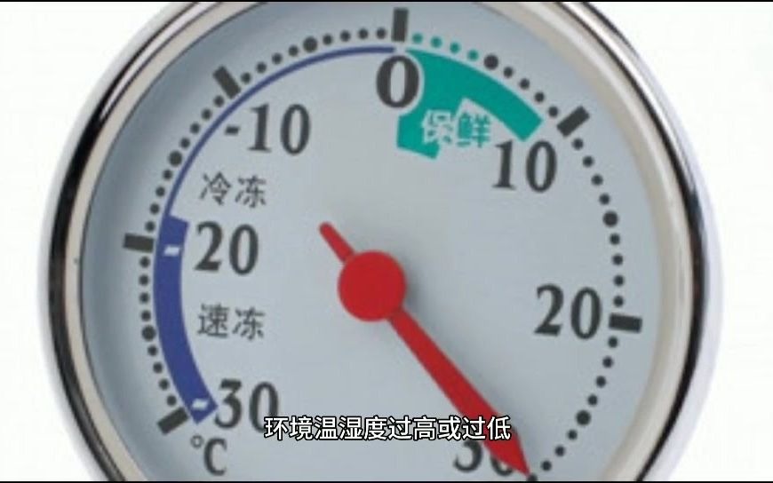 蛋鸭产畸形蛋是什么原因蛋鸭产畸形蛋的原因有哪些蛋鸭老是生软蛋...