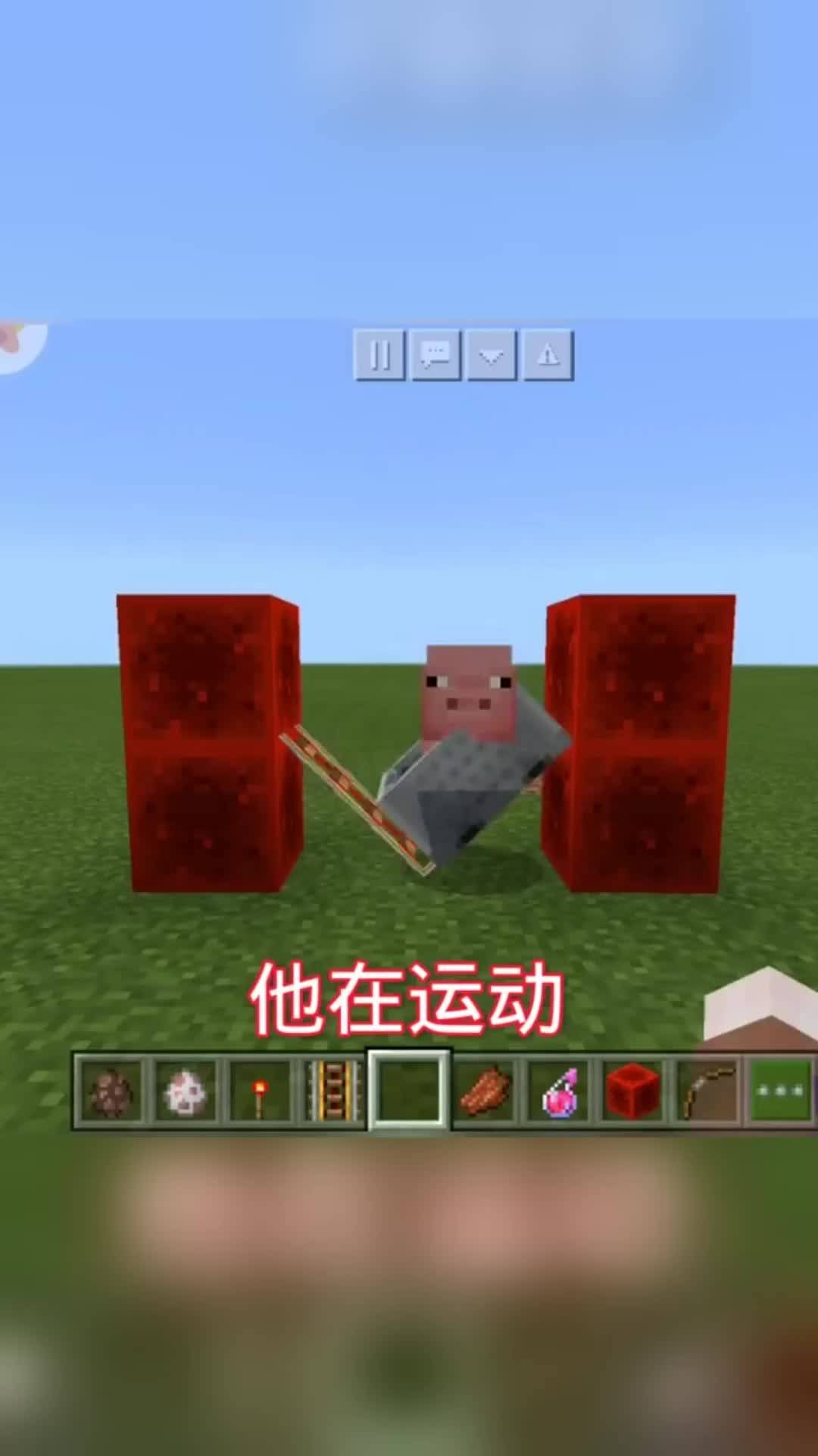 我的世界这些动物,它们都在运动。