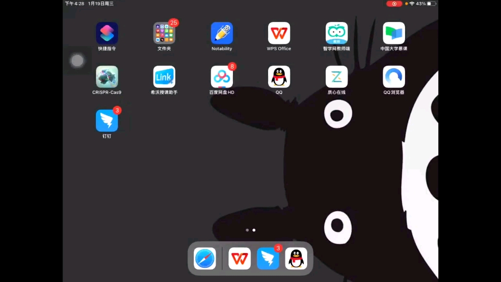 分离定律第二课时