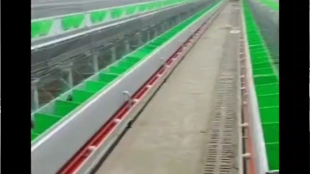 输送带式清粪机的重要性养殖场畜禽粪便大量堆积,污水和粪便,散发出...