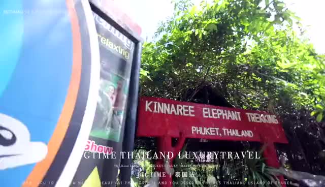 欣赏歌舞、杂技以及大象表演…嗨玩普吉,放肆play ߘ�大时代全球...