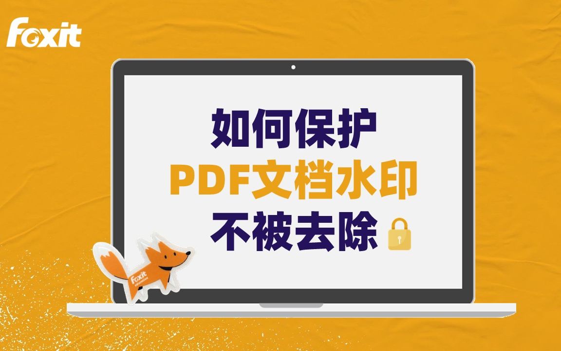 用这种方式,保护PDF文档水印不被去除!