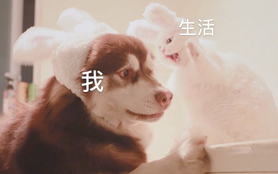 【加冰】现代教育技术作业