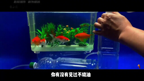 自制无动力水循环鱼缸,不用电不烧油,水就能自动循环