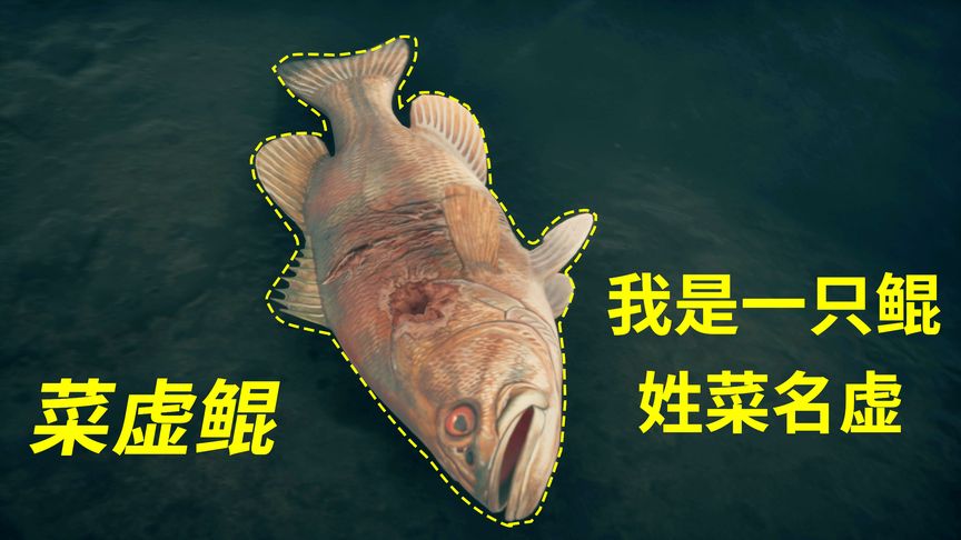 狒狒模拟器:1000万年前我是一只鲲,姓菜名虚命运坎坷!