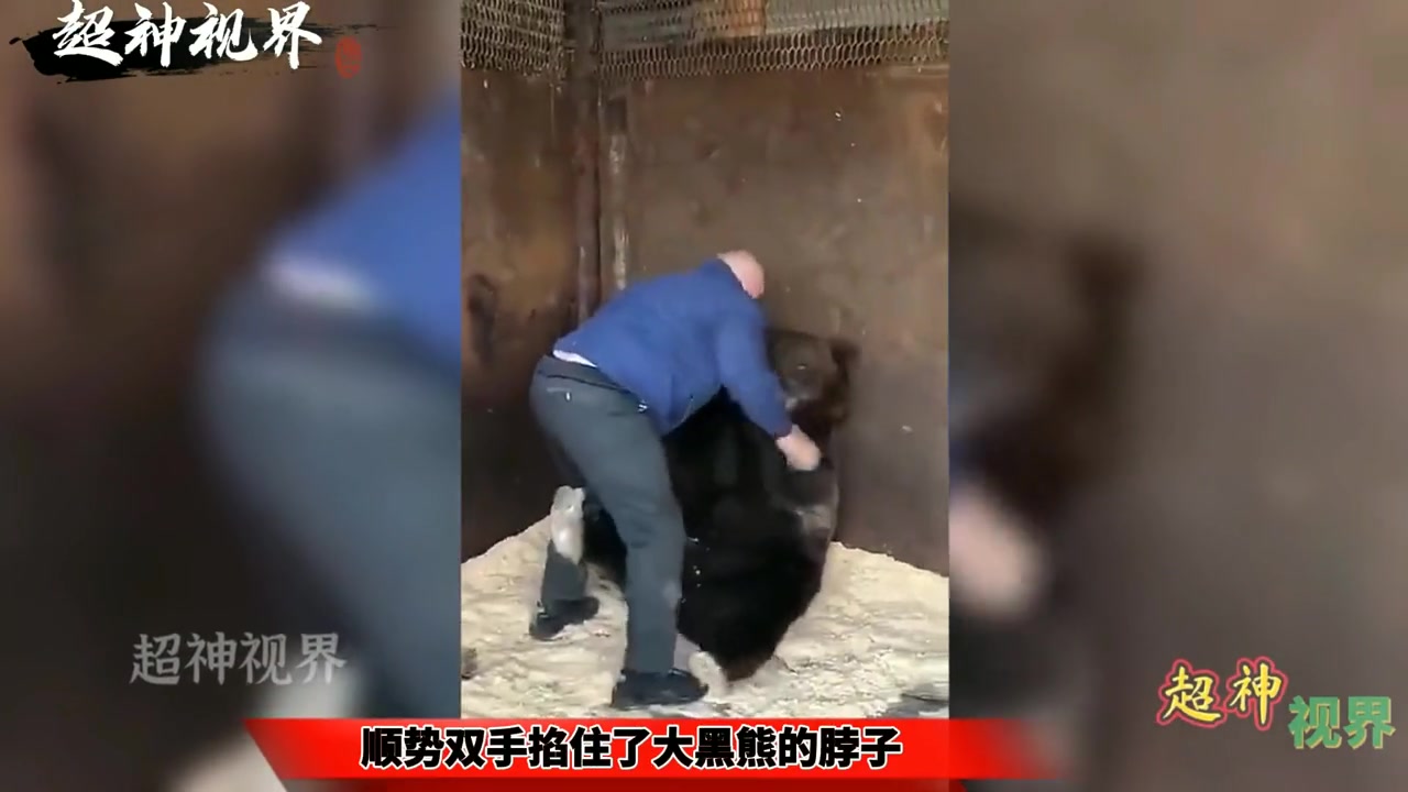 . 不愧是俄罗斯人,徒手跟熊打架一点都不输